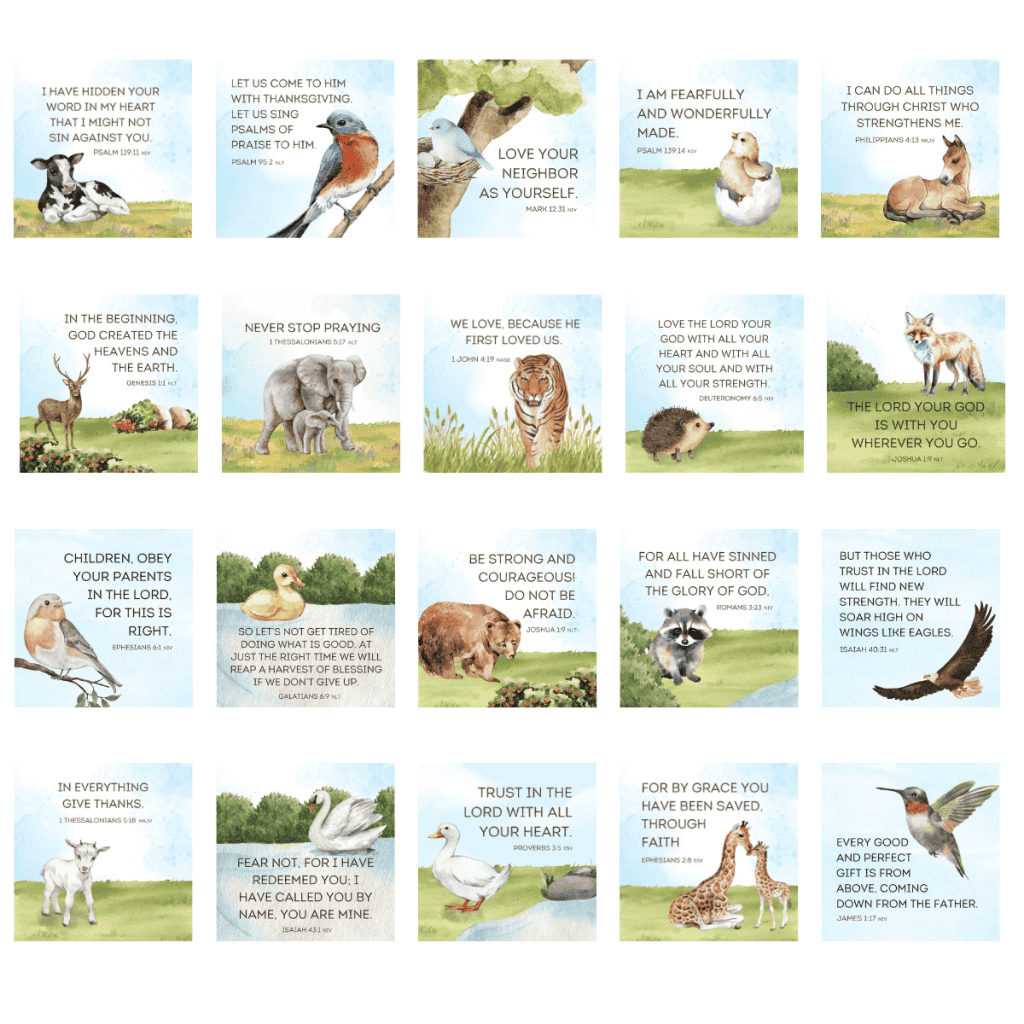 Animal Bible Verse Cards for Kids | 20 Scripture Memory Cards - She ...